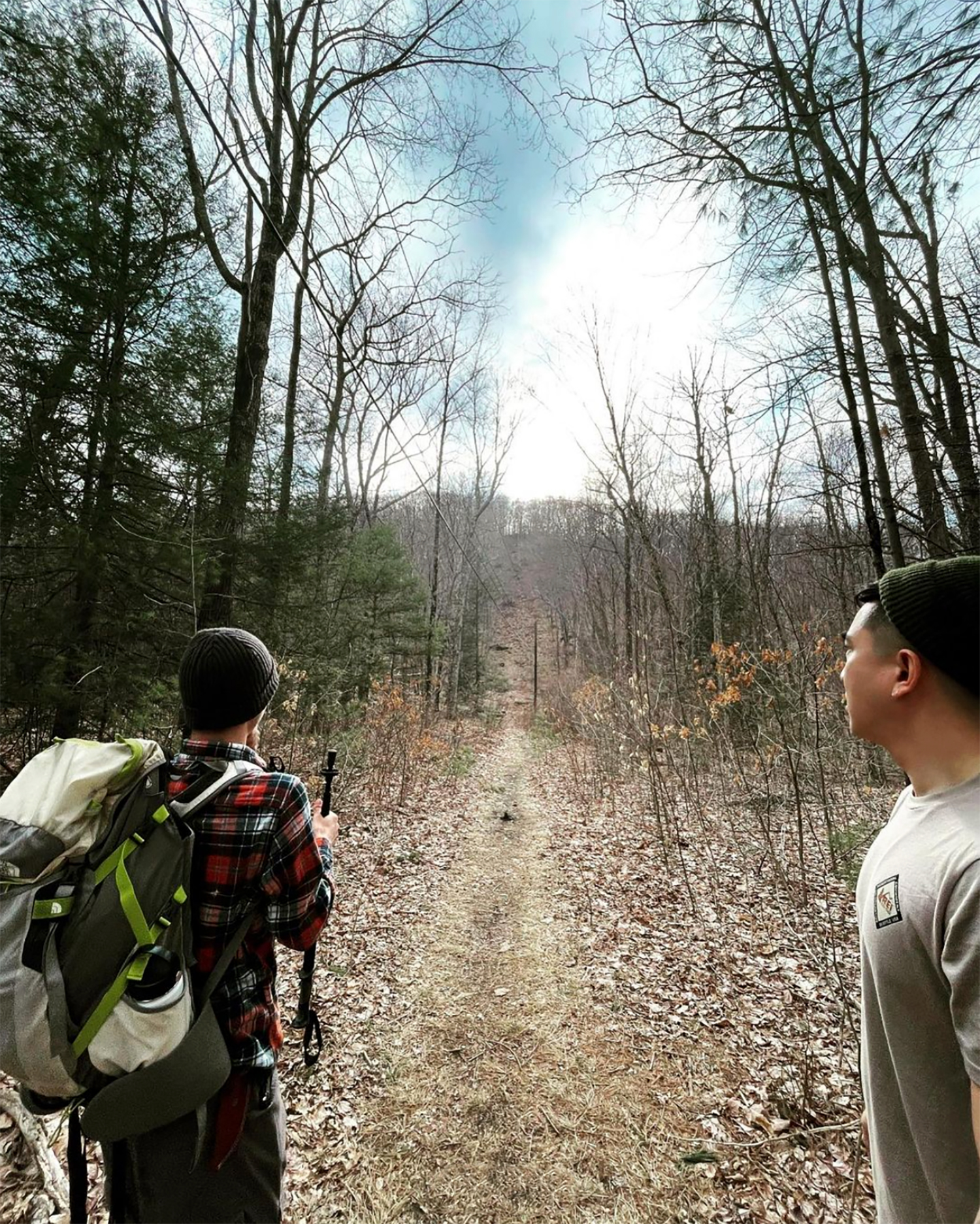 Shenipsit State Forest | Connecticut State Parks and Forests