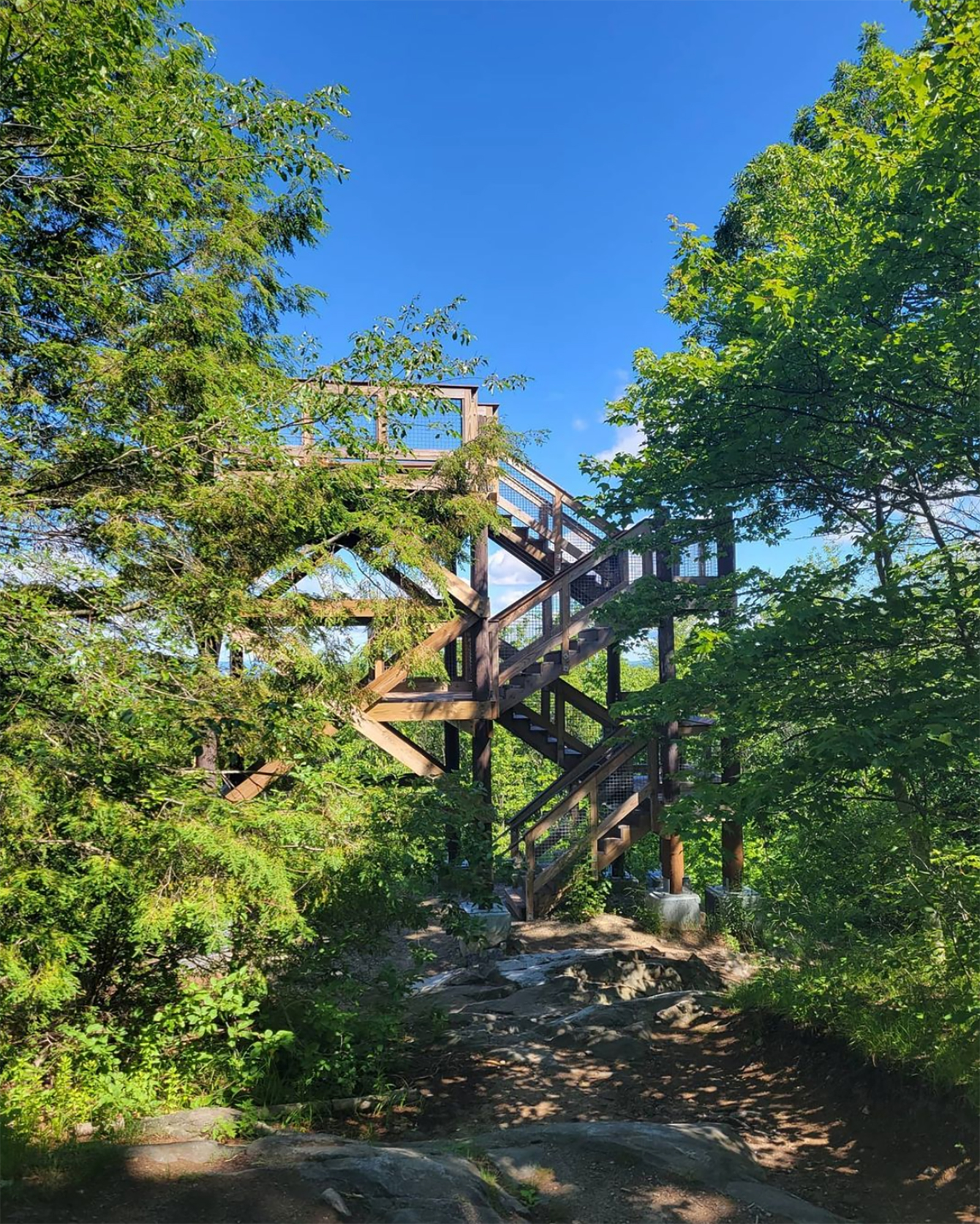 Shenipsit State Forest | Connecticut State Parks and Forests
