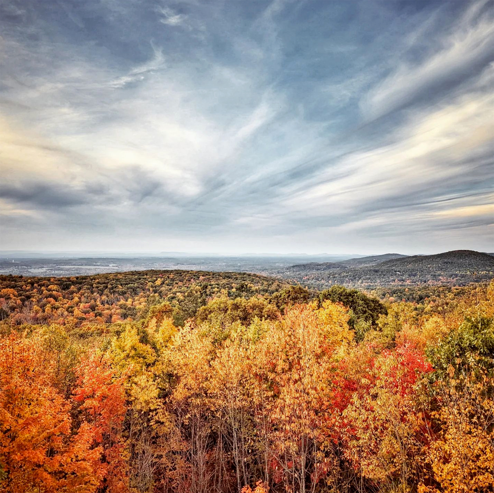Hunting in Connecticut State Parks | Connecticut State Parks and Forests