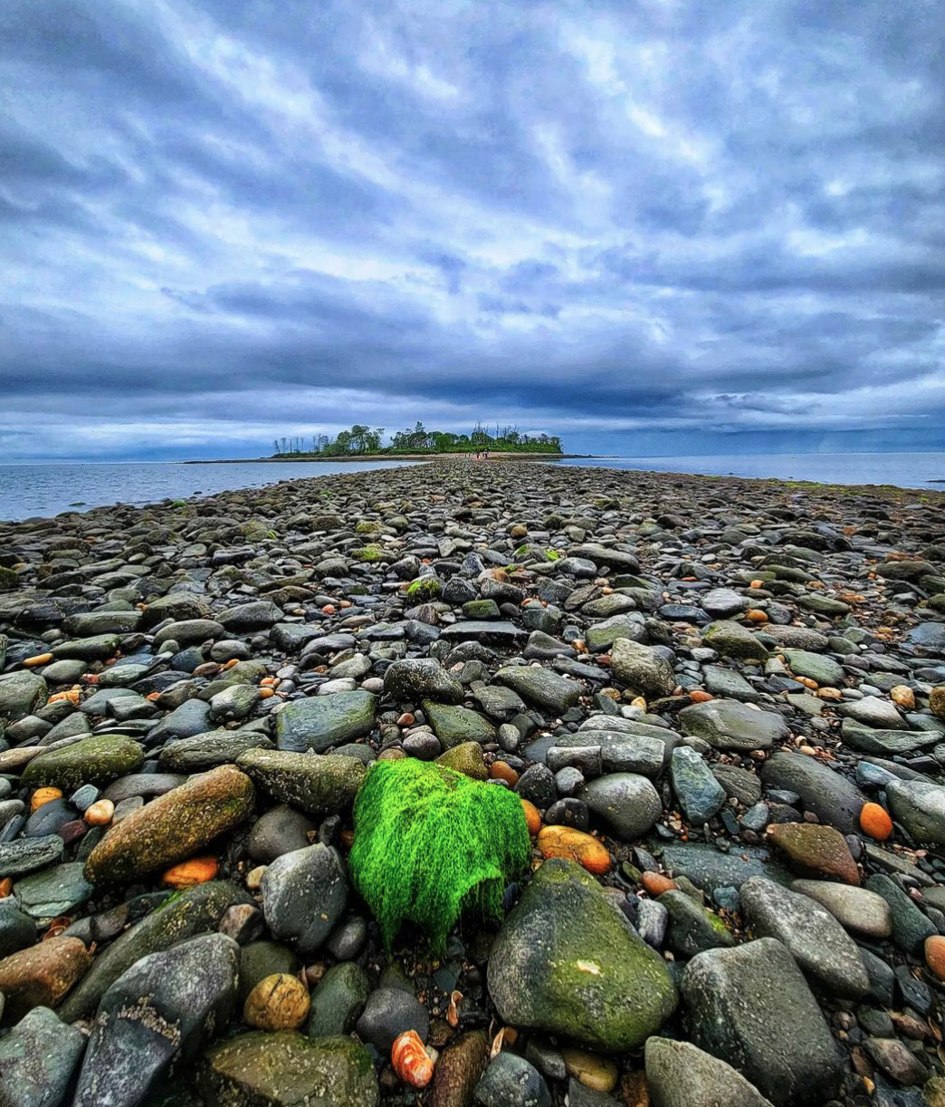Silver Sands State Park | Connecticut State Parks and Forests
