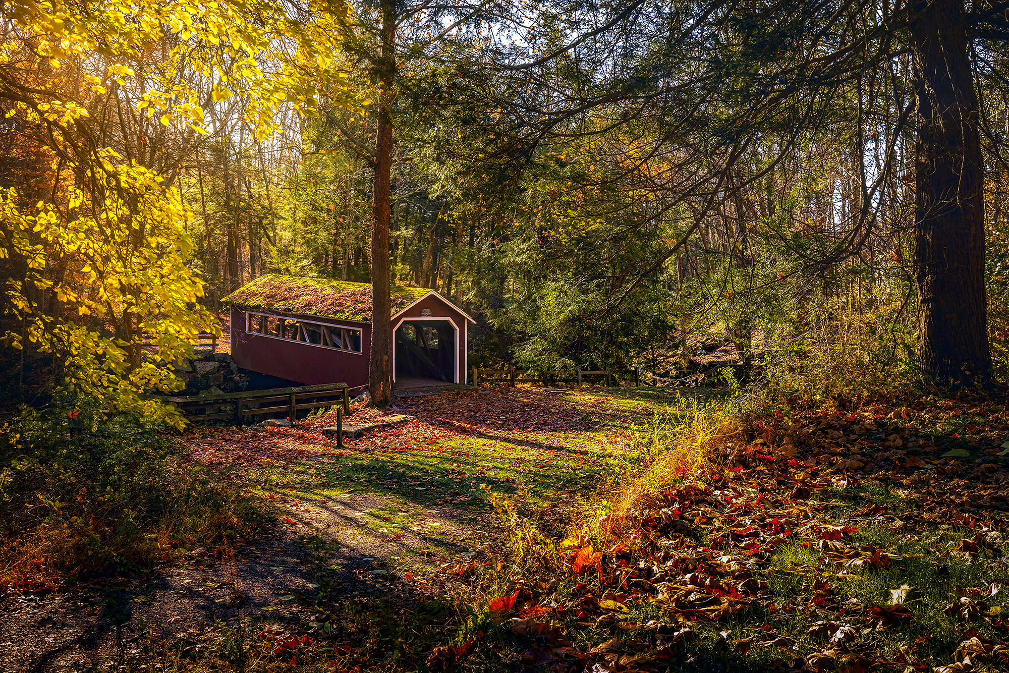 Park Passes | Connecticut State Parks and Forests