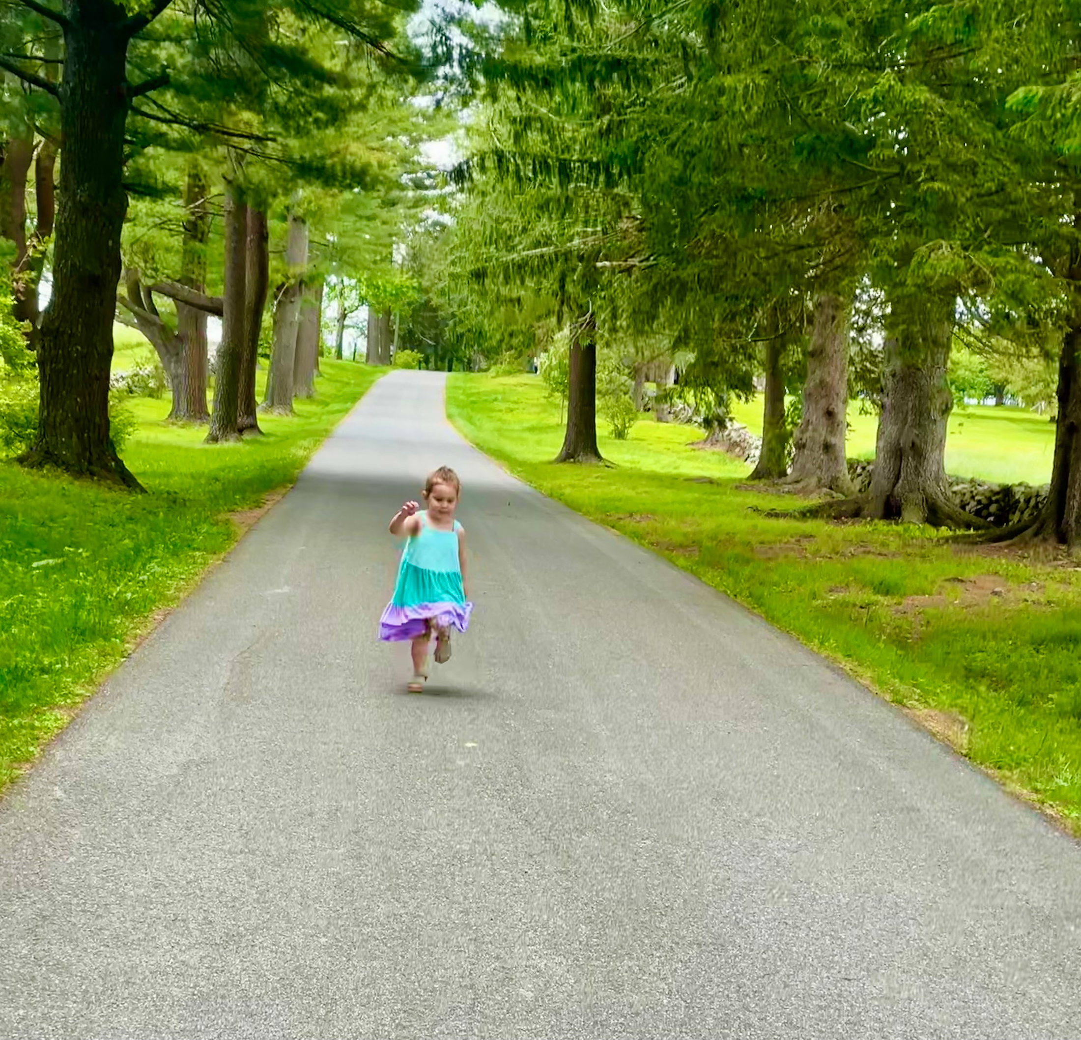 Topsmead State Forest | Connecticut State Parks and Forests