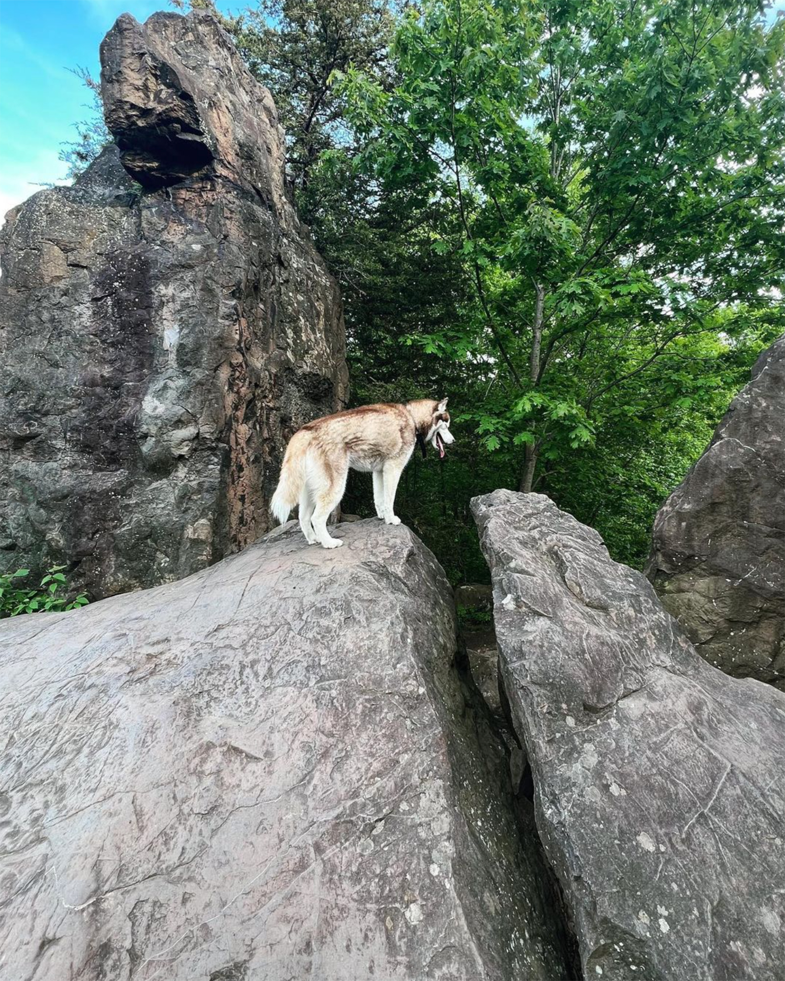 West Rock Ridge State Park | Connecticut State Parks and Forests