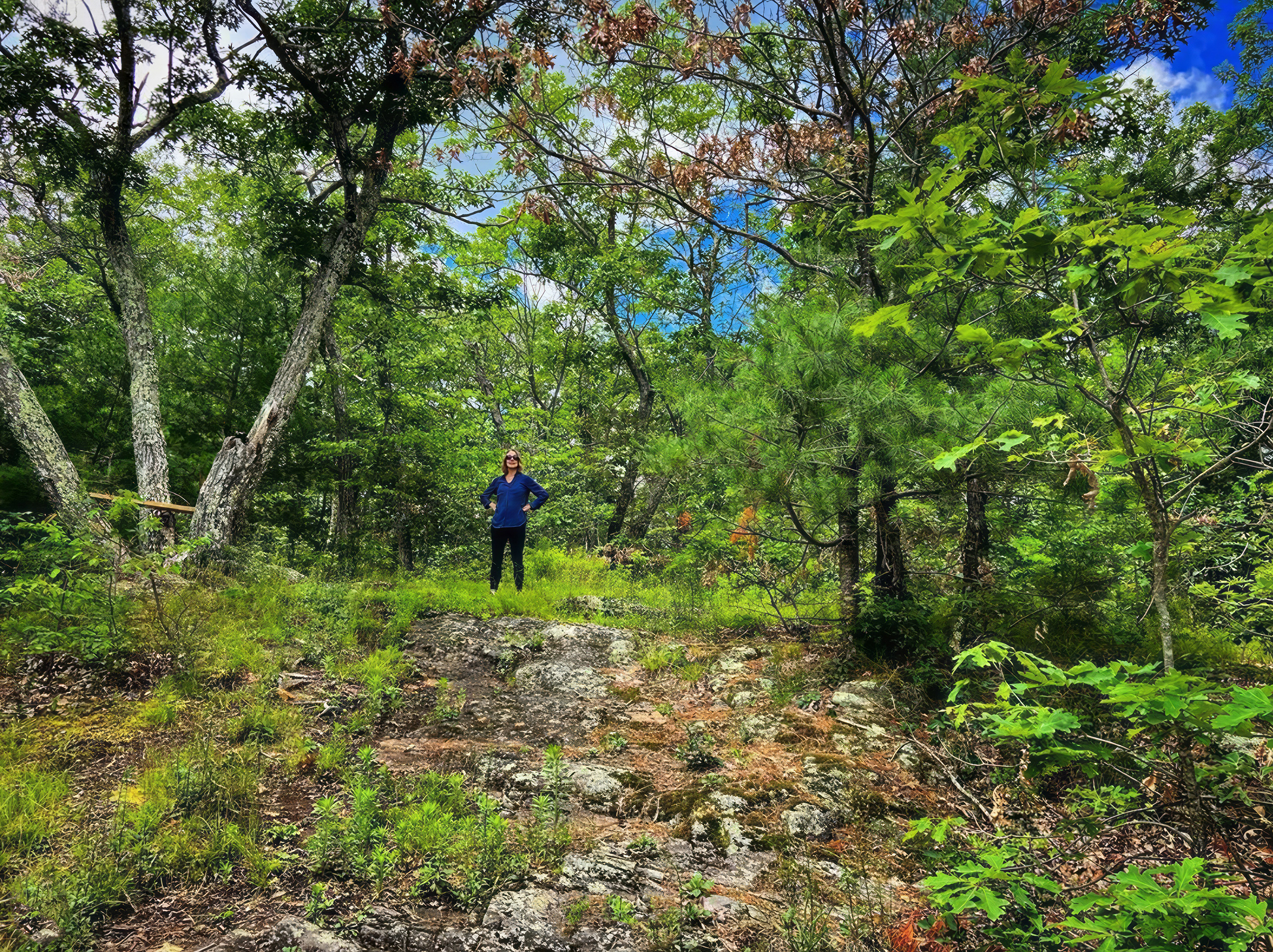 Nipmuck State Forest | Connecticut State Parks and Forests