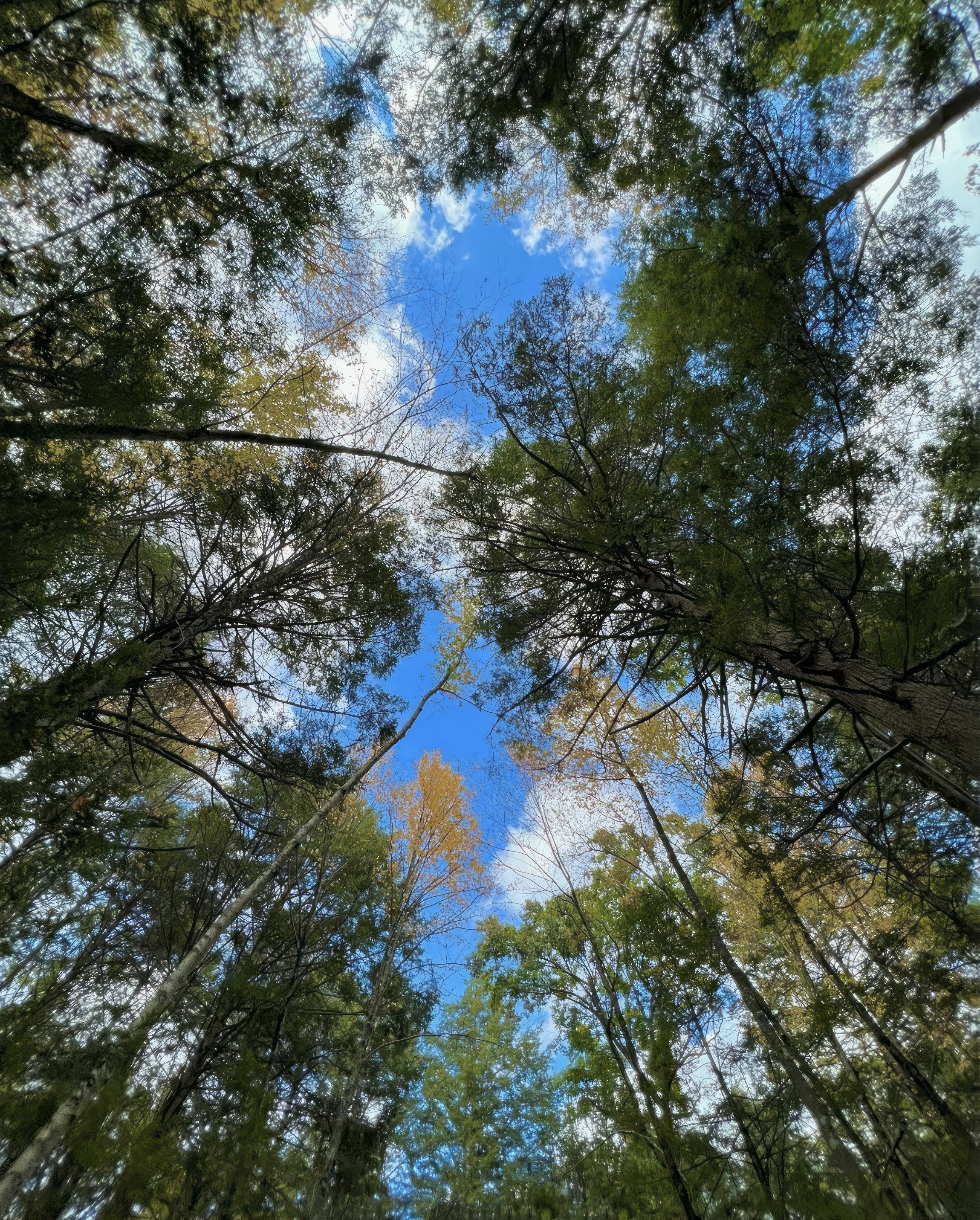Nipmuck State Forest | Connecticut State Parks and Forests