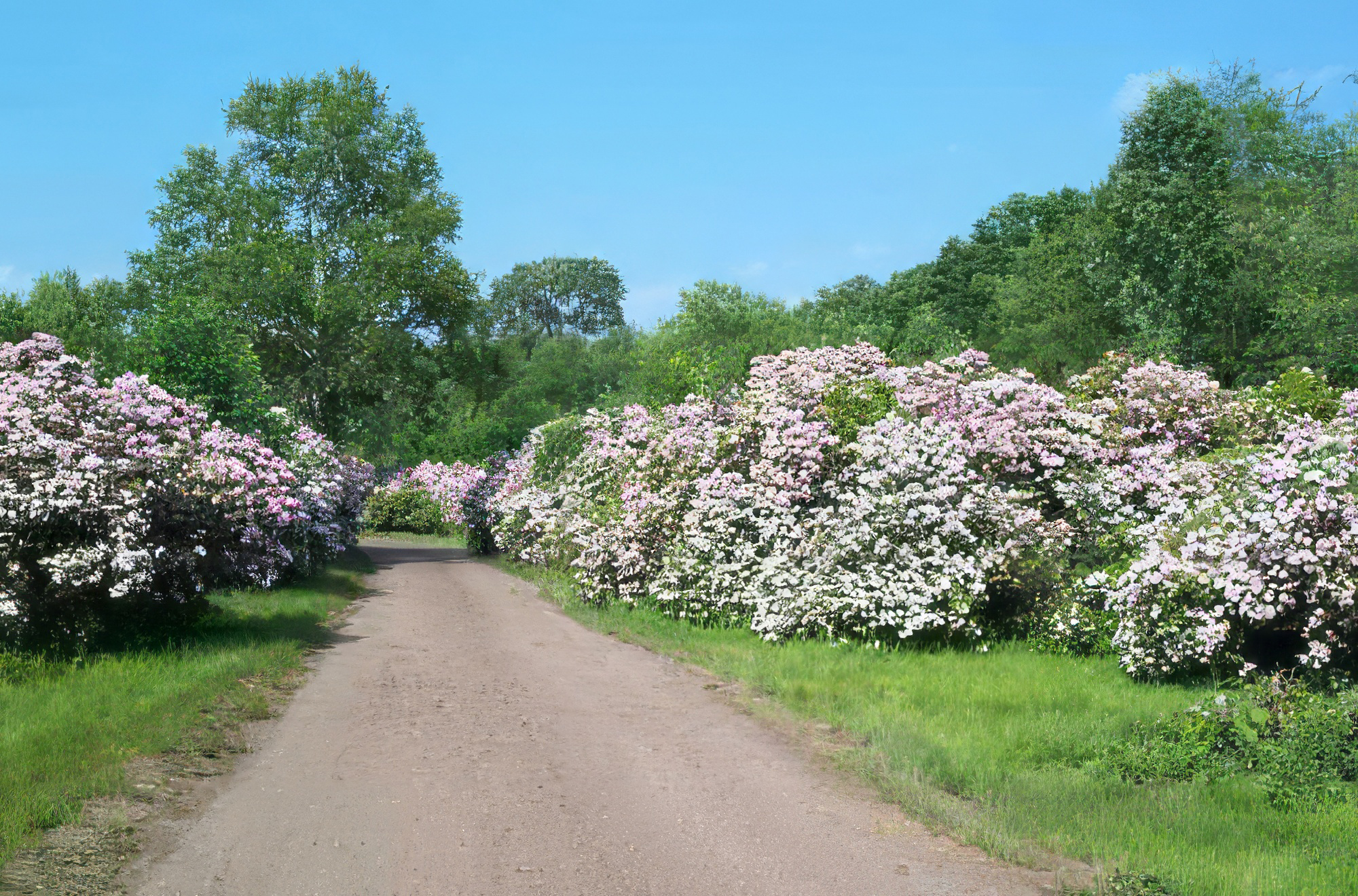 Nipmuck State Forest | Connecticut State Parks and Forests