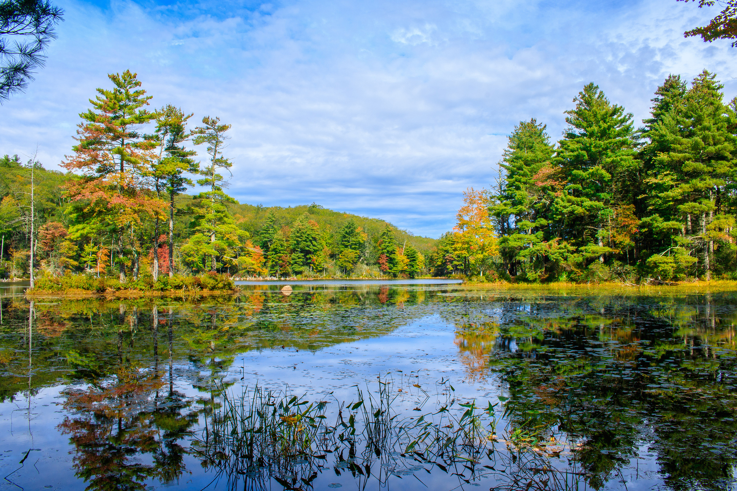Picnicking in Connecticut State Parks | Connecticut State Parks and Forests