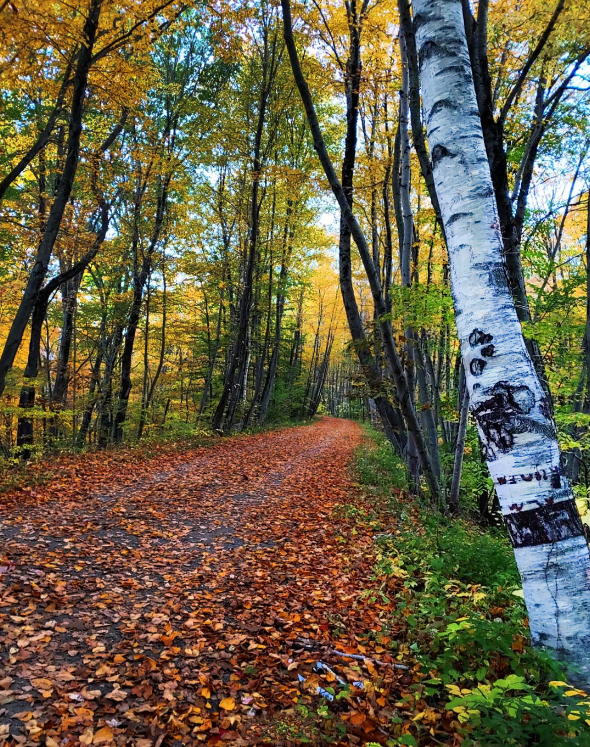 Bolton Notch State Park | Connecticut State Parks and Forests