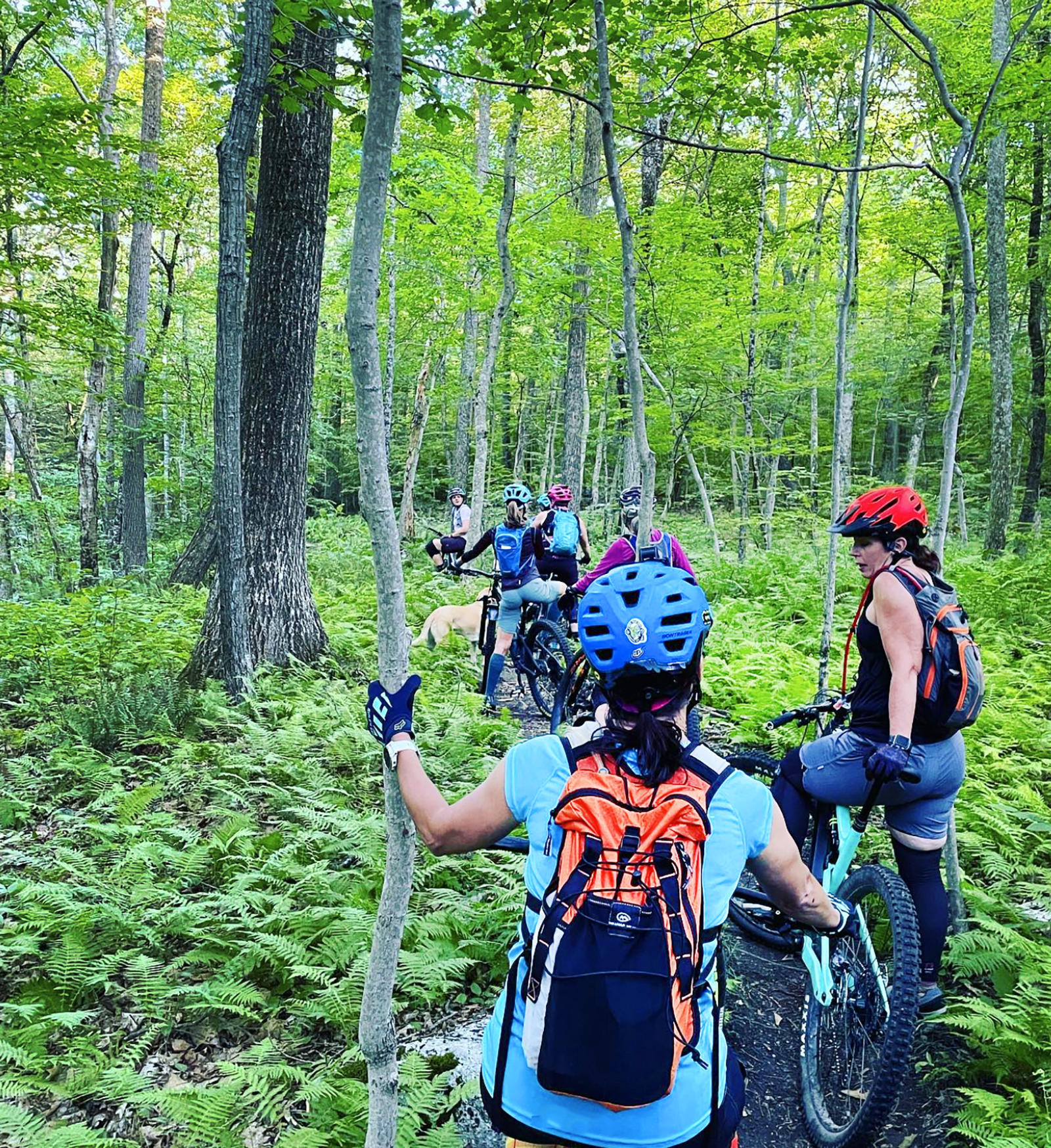 Mooween State Park | Connecticut State Parks and Forests