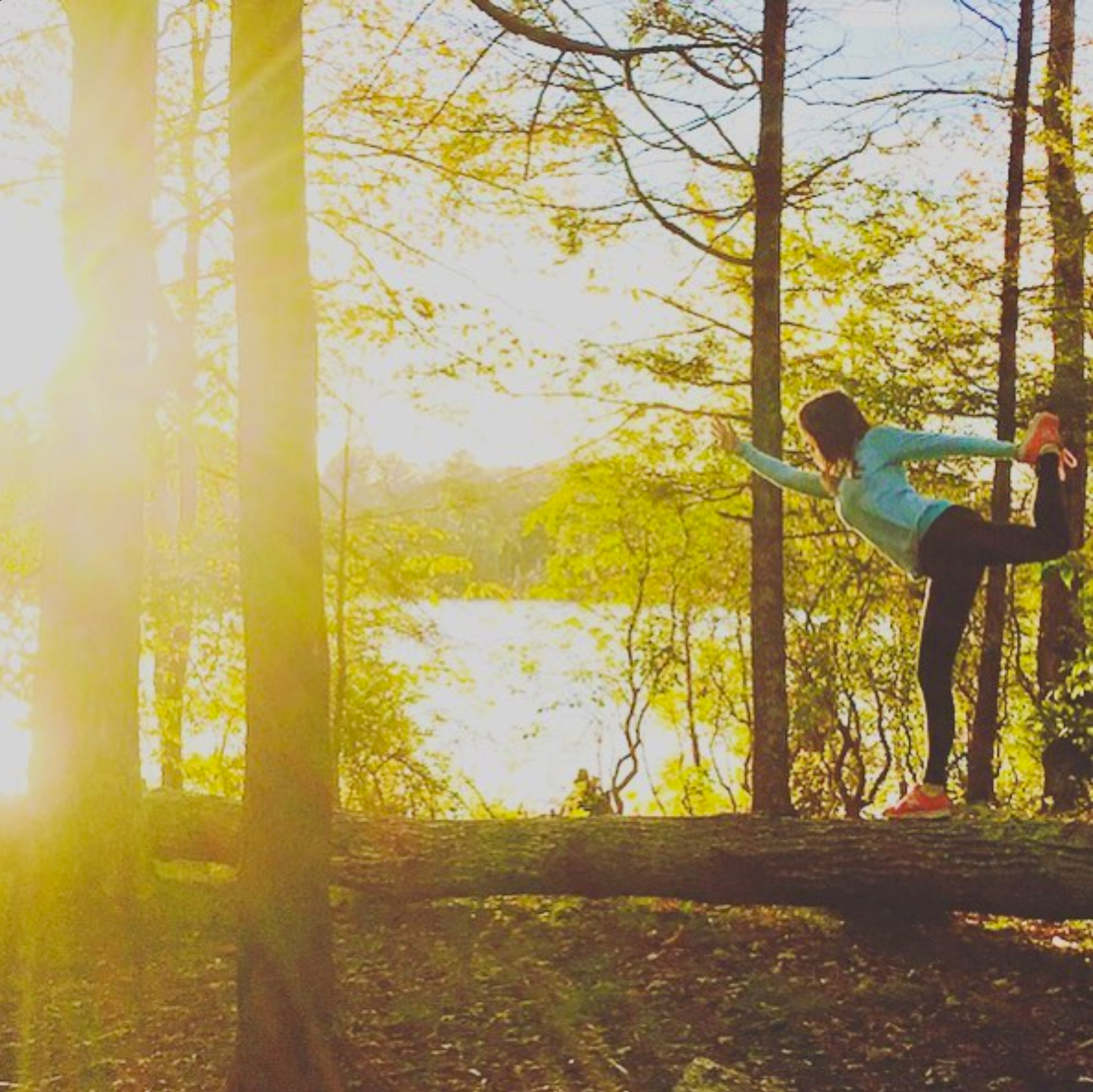 Hunting in Connecticut State Parks | Connecticut State Parks and Forests