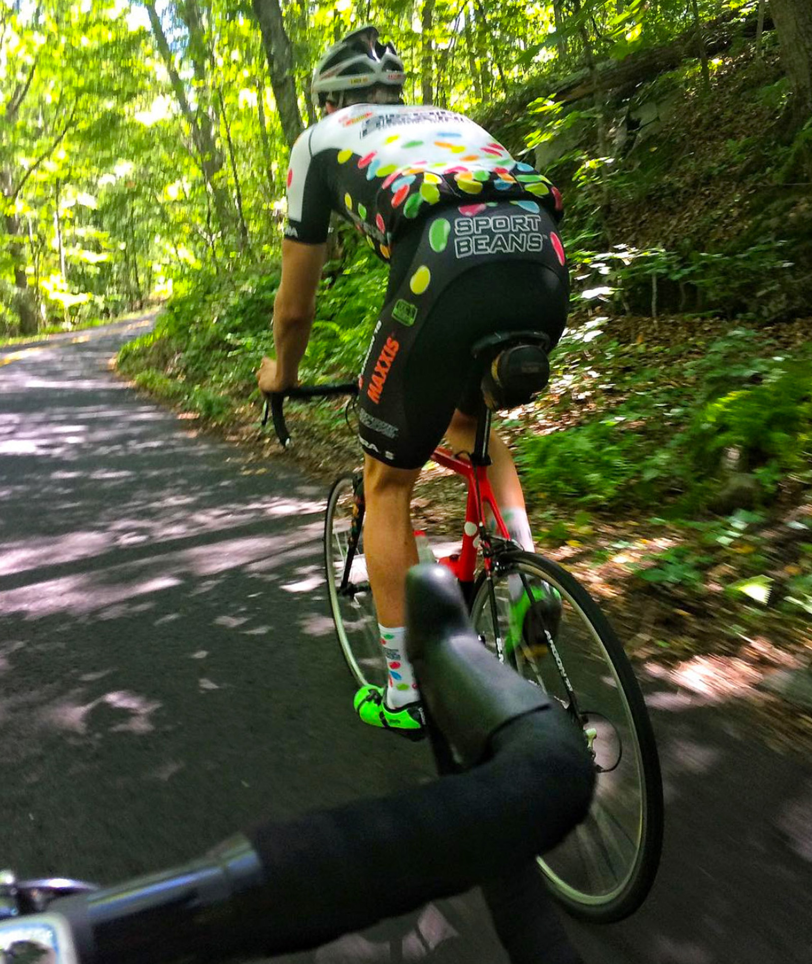 Nehantic State Forest | Connecticut State Parks and Forests