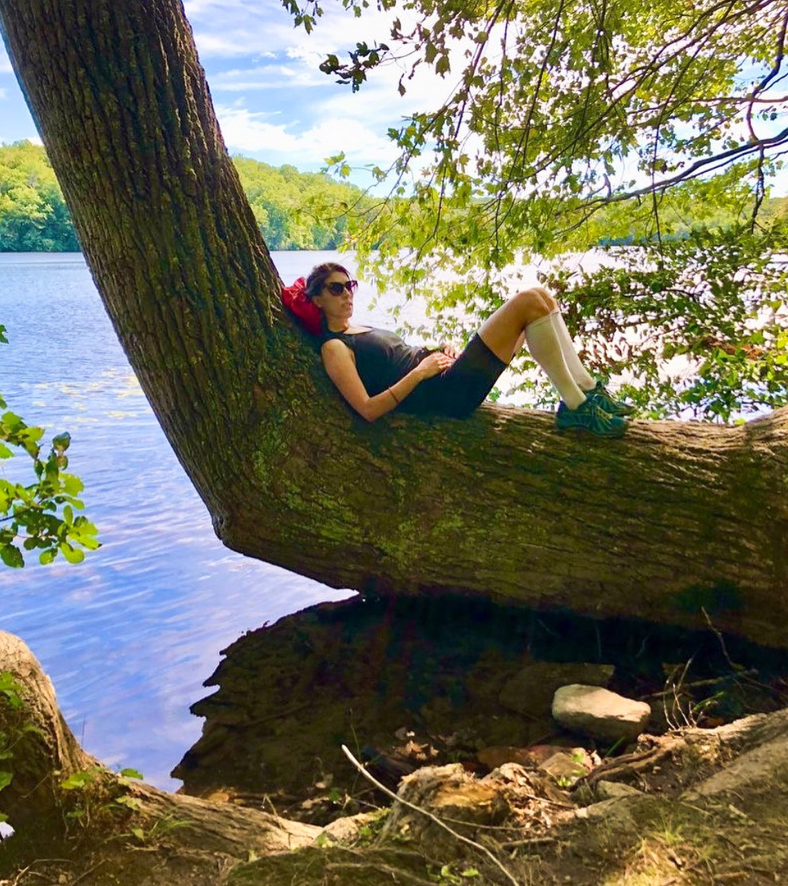 Nehantic State Forest | Connecticut State Parks and Forests
