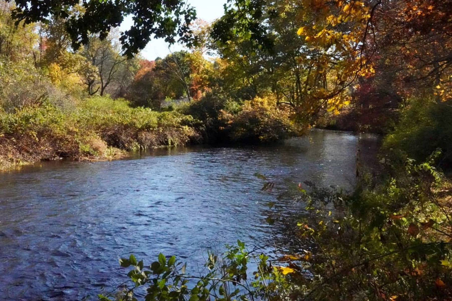 Hunting in Connecticut State Parks | Connecticut State Parks and Forests