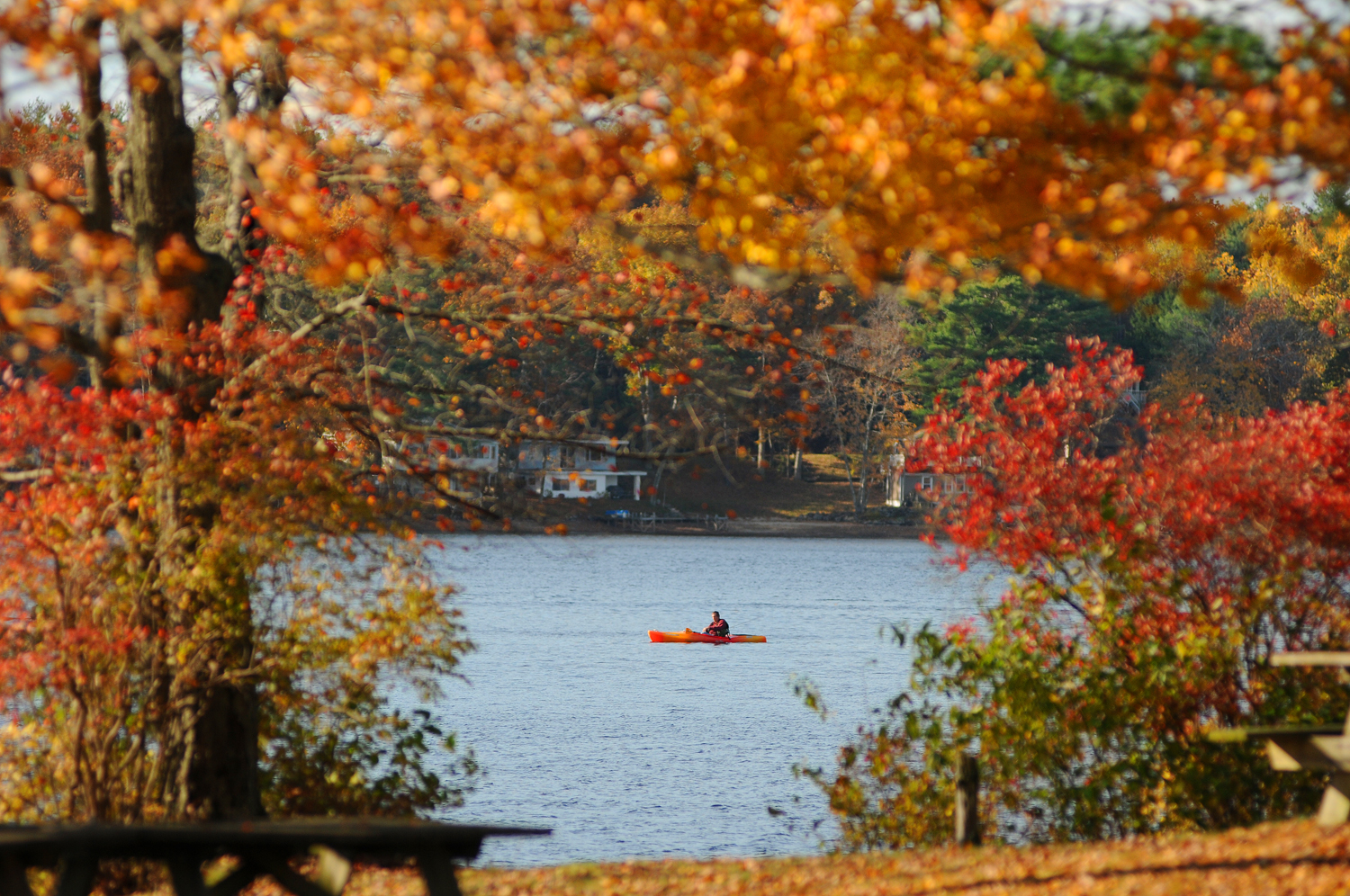 Quaddick State Park | Connecticut State Parks and Forests