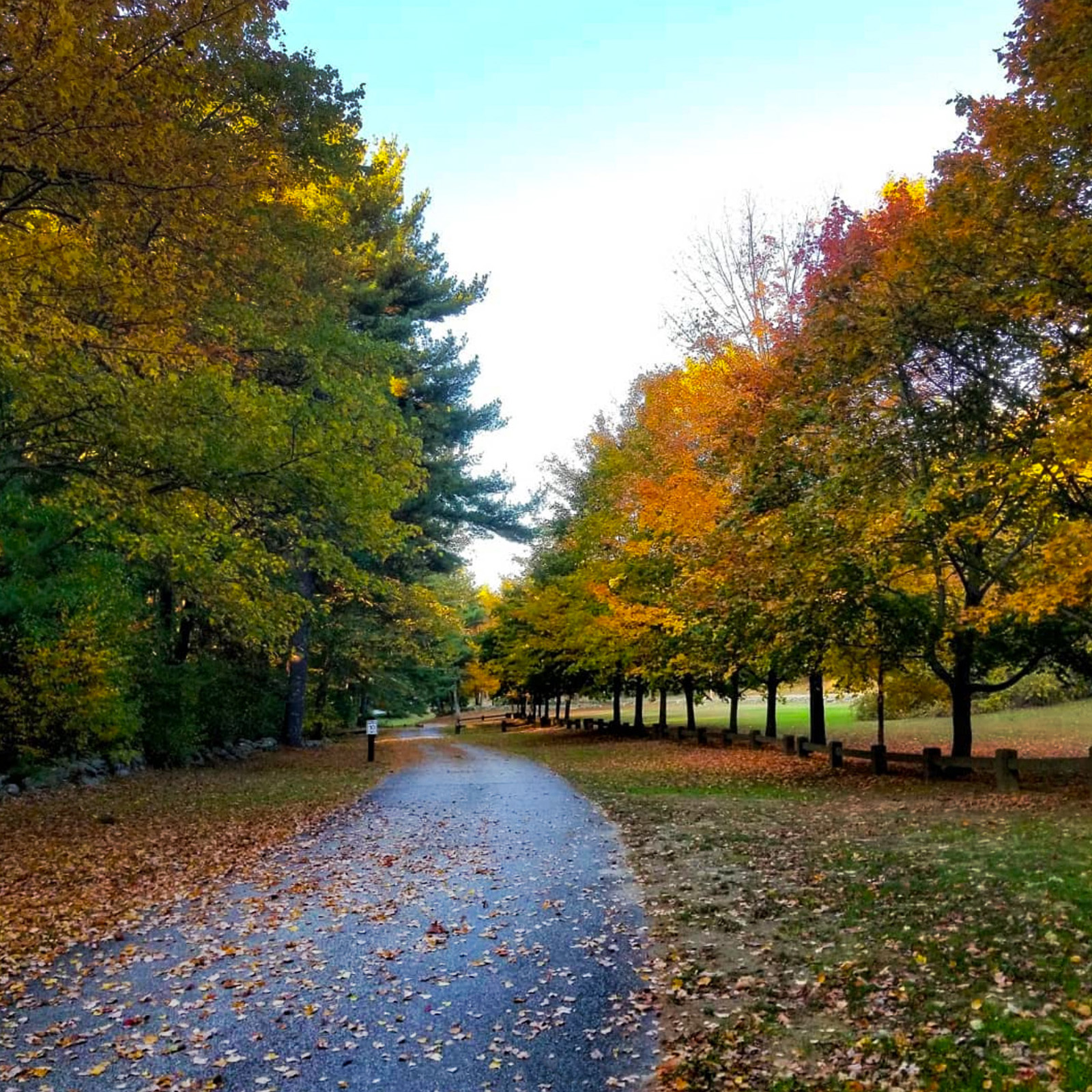 Quaddick State Park | Connecticut State Parks and Forests