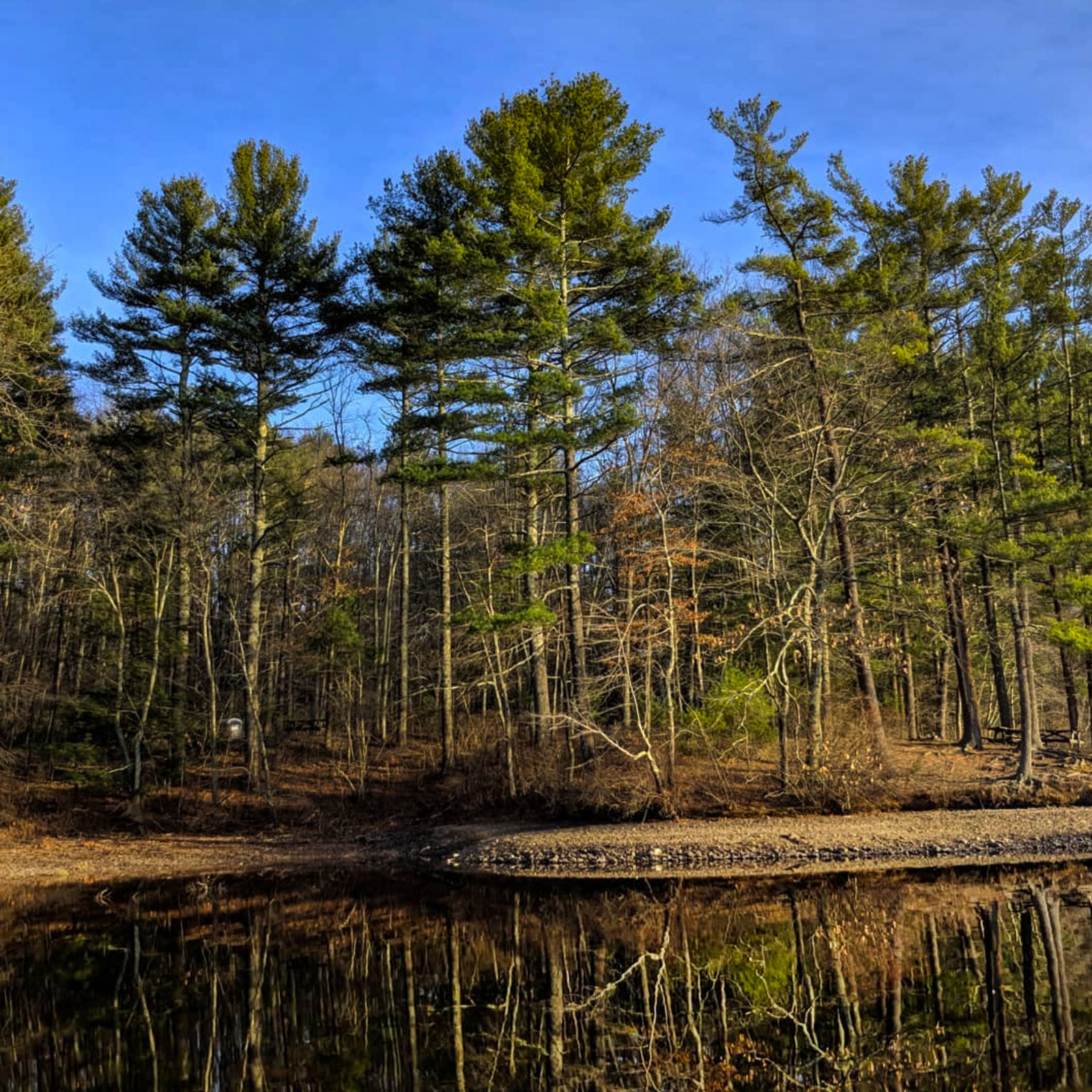 Quaddick State Park | Connecticut State Parks and Forests