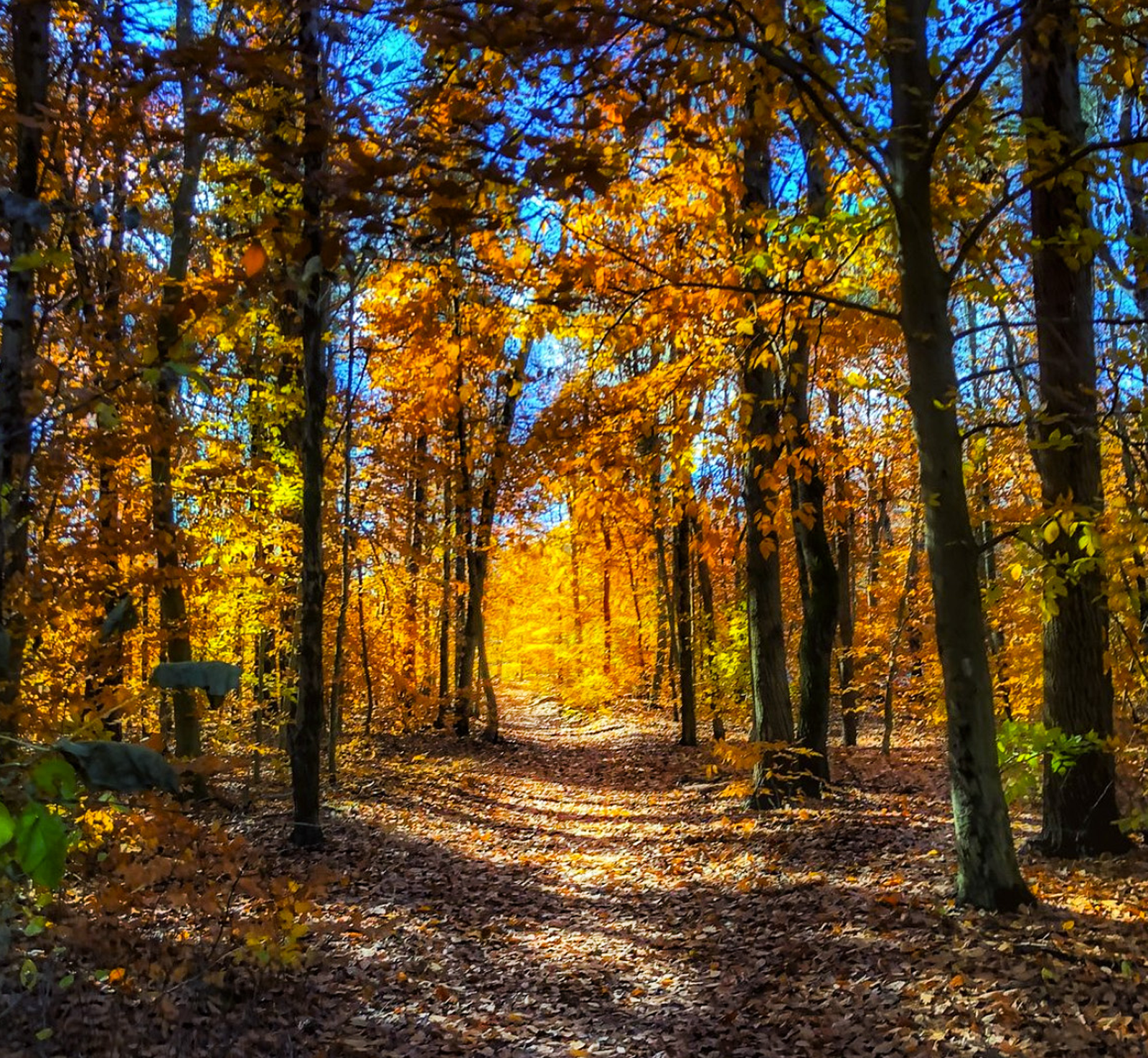 Picnicking in Connecticut State Parks | Connecticut State Parks and Forests