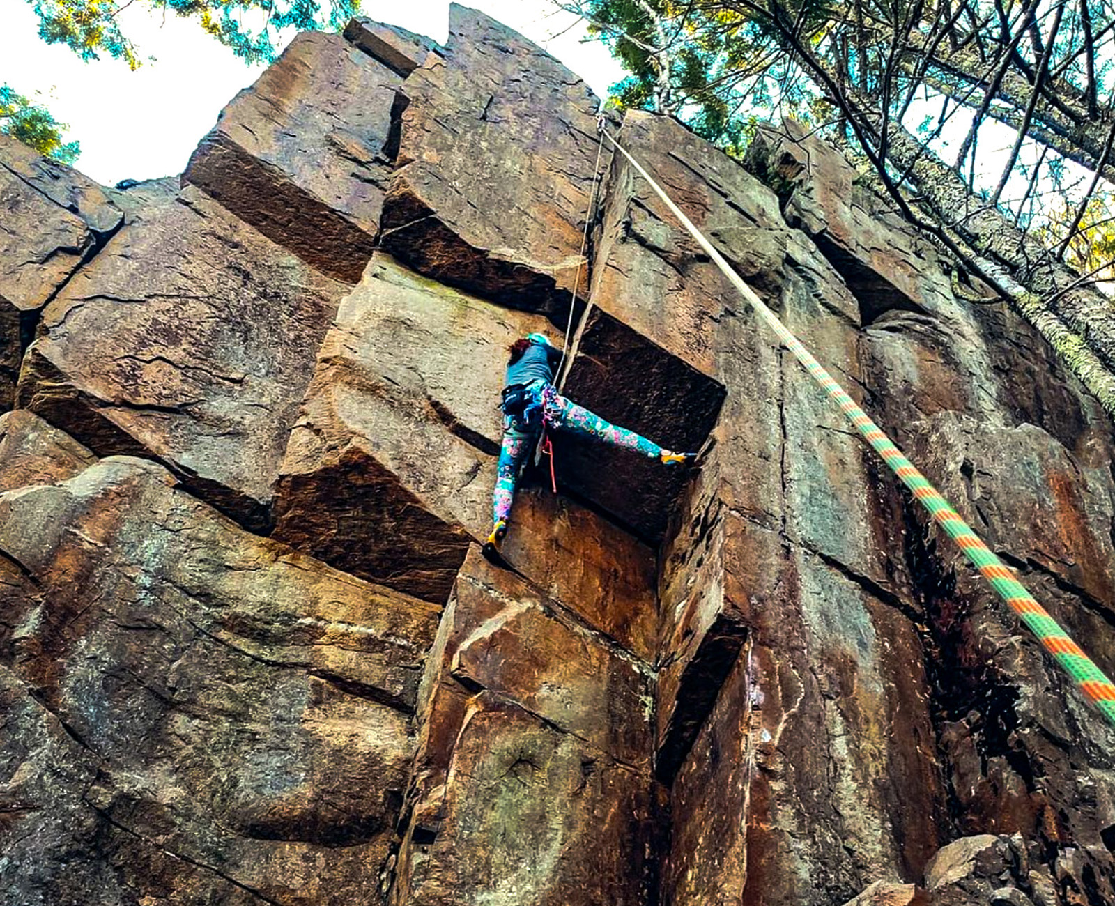 Ross Pond State Park | Connecticut State Parks and Forests