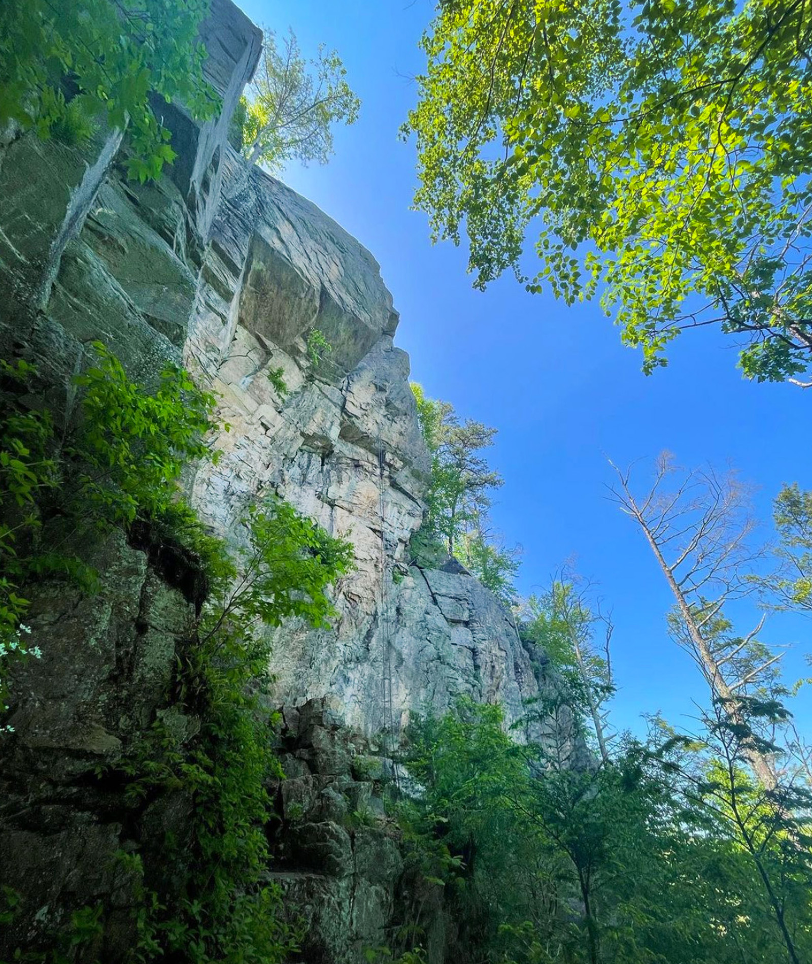 Ross Pond State Park | Connecticut State Parks and Forests