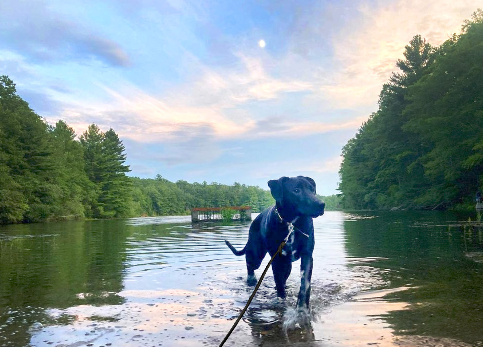John A. Minetto State Park | Connecticut State Parks and Forests