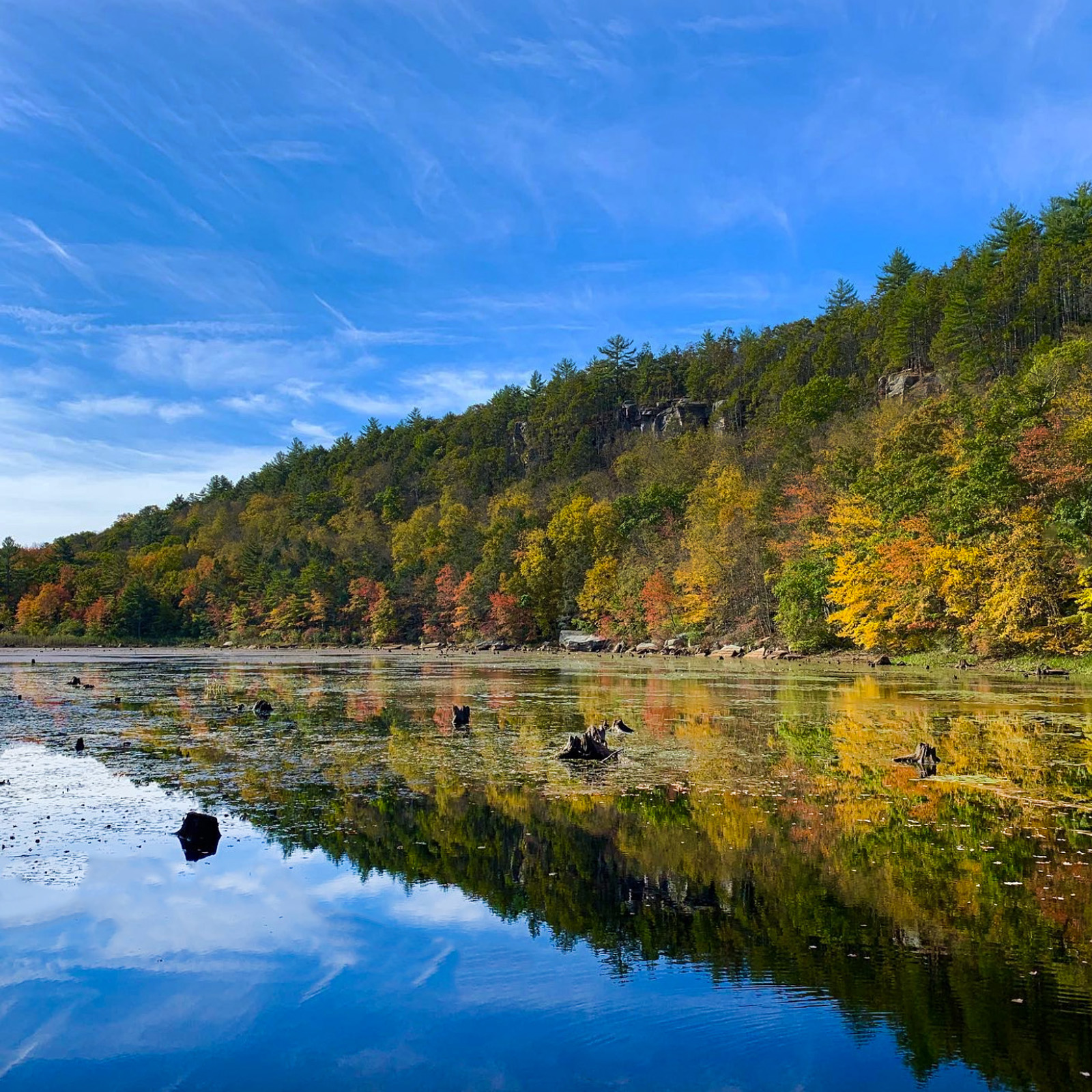 Ross Pond State Park | Connecticut State Parks and Forests