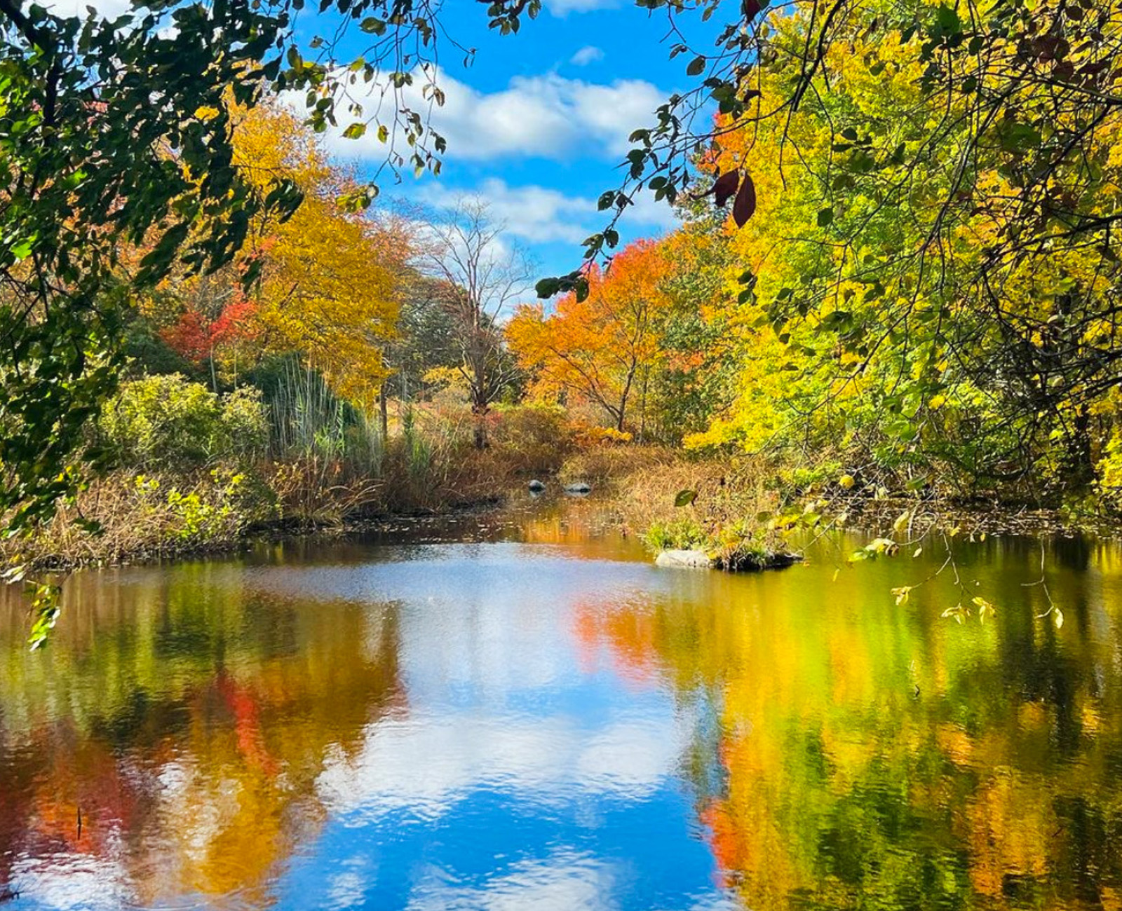 Haley Farm State Park | Connecticut State Parks and Forests