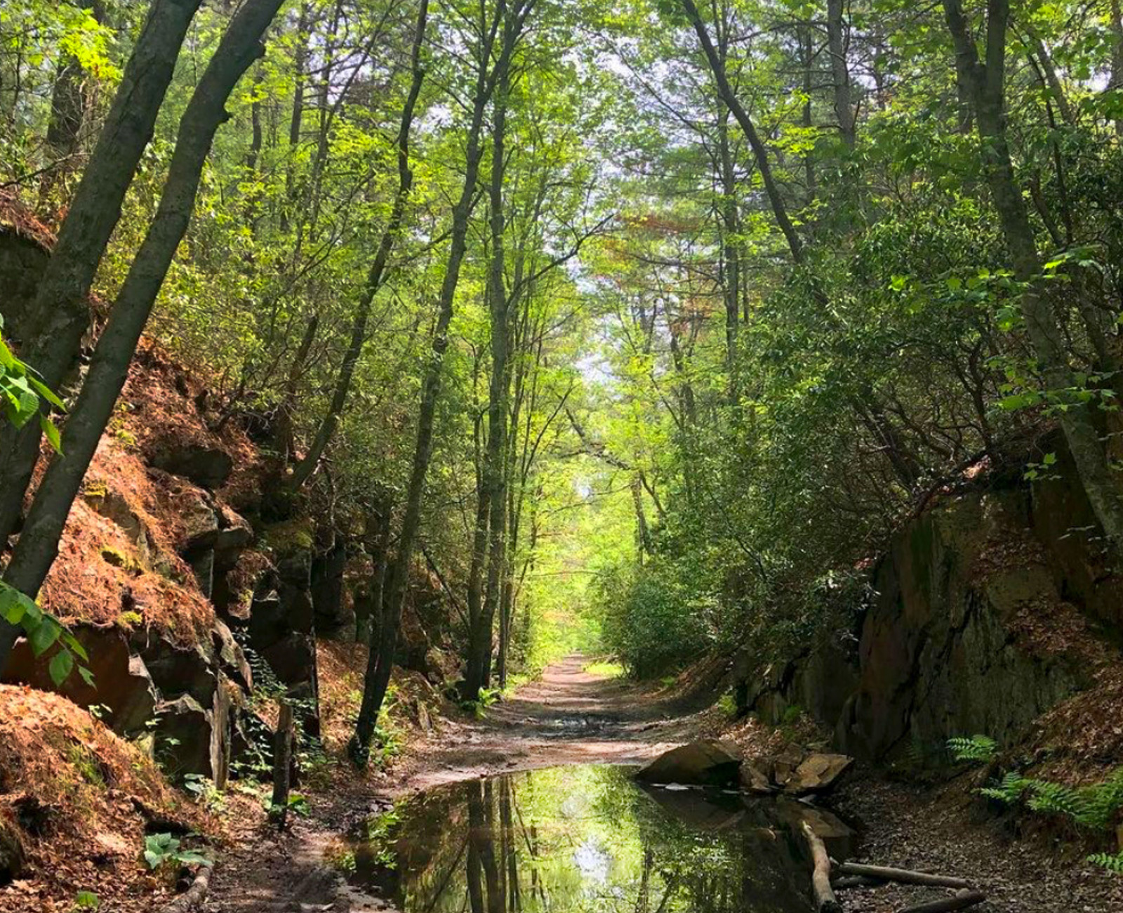 Moosup Valley State Park Trail | Connecticut State Parks and Forests