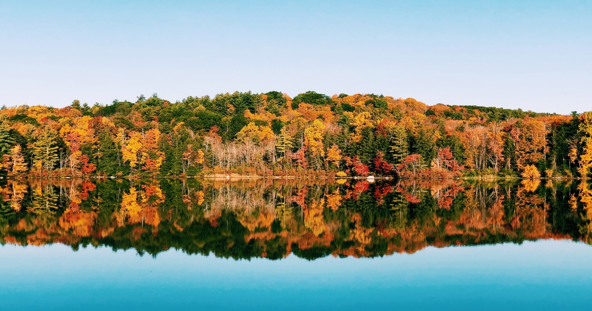 Adopt a Park | Connecticut State Parks and Forests
