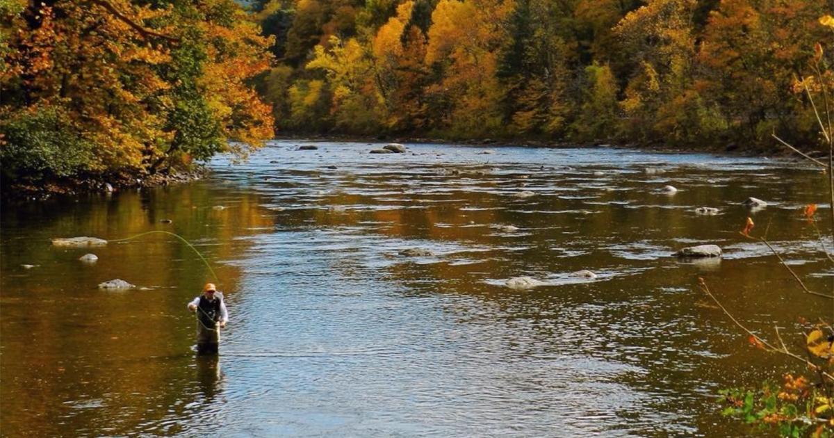 Housatonic State Forest | Connecticut State Parks and Forests