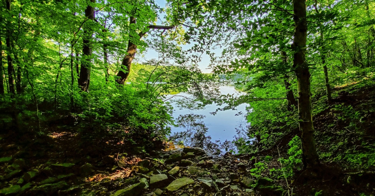 Millers Pond State Park | Connecticut State Parks and Forests