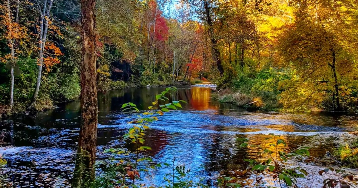 Scantic River State Park | Connecticut State Parks and Forests