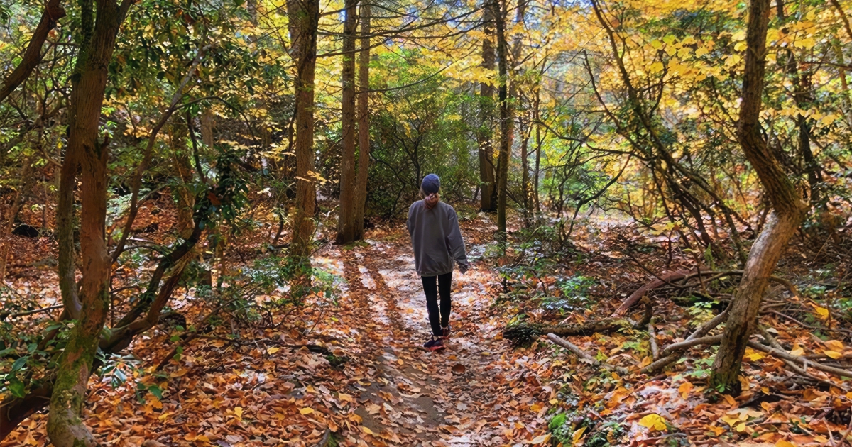 Recreational Trails | Connecticut State Parks and Forests
