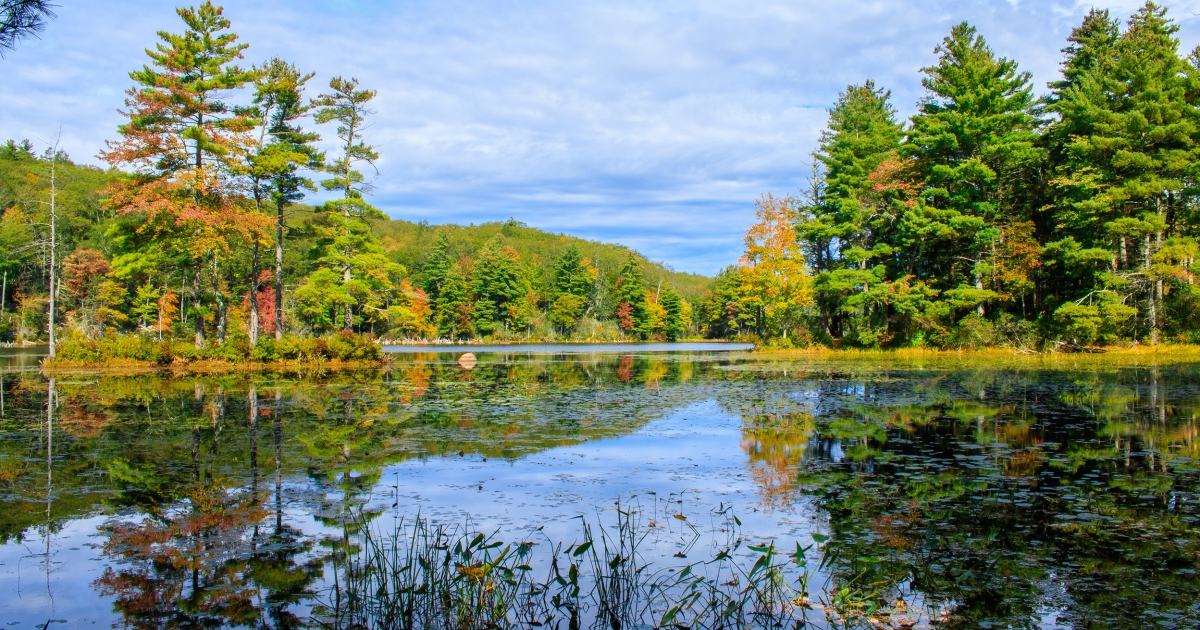 Nipmuck State Forest | Connecticut State Parks and Forests